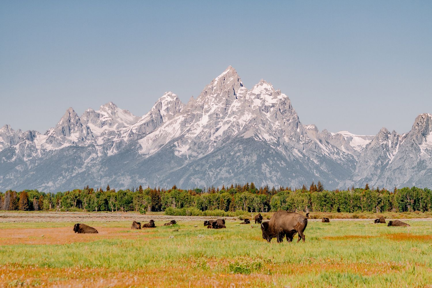 Best Things To Do Jackson WY The Virginian Rv Park Best Things To Do Jackson WY The Virginian Rv Park